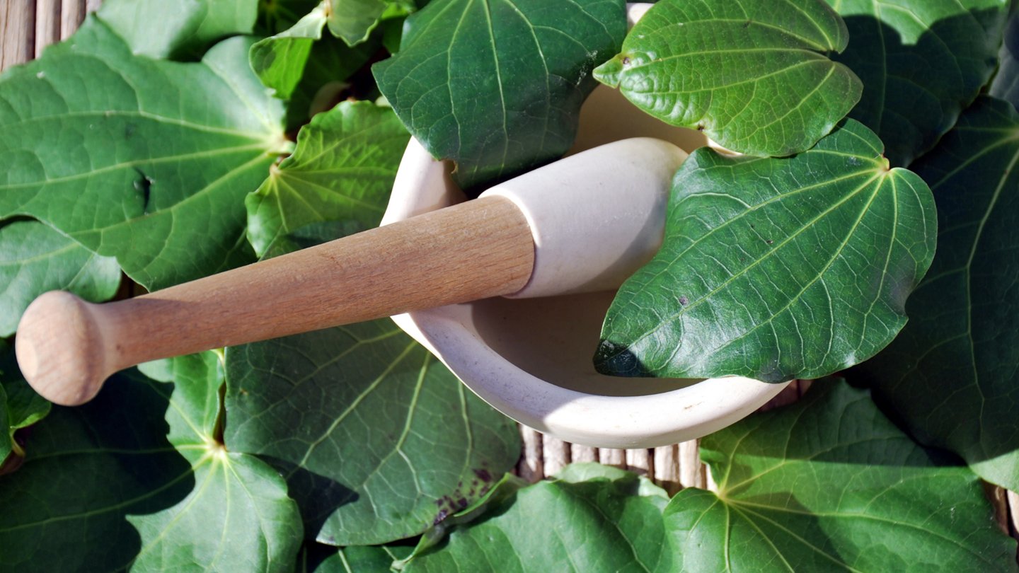 Rongoā Māori – Instep